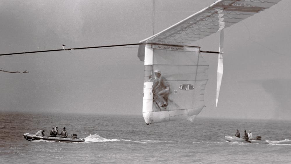 I cleared the shelves when I spotted reduced Christmas essentials in my ...